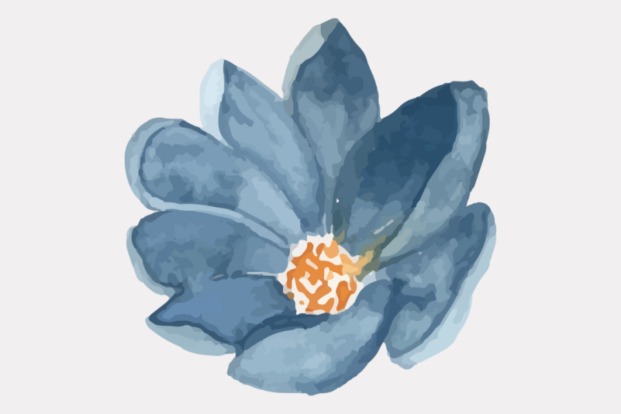 Programs & Outreach | RISE Center